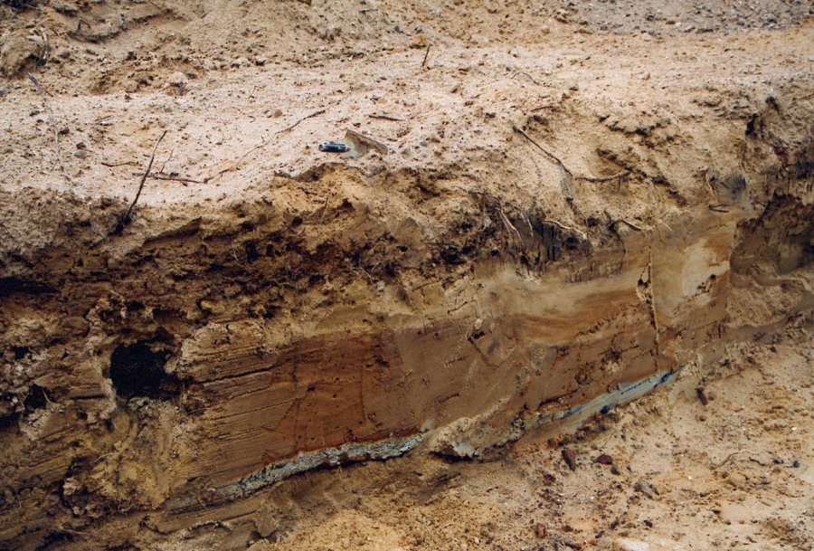 Foto 3: Keileem op smeltwaterafzettingen.