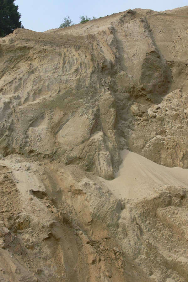 Foto 9: Detail van plastische sedimentdeformatie vanwege massabeweging