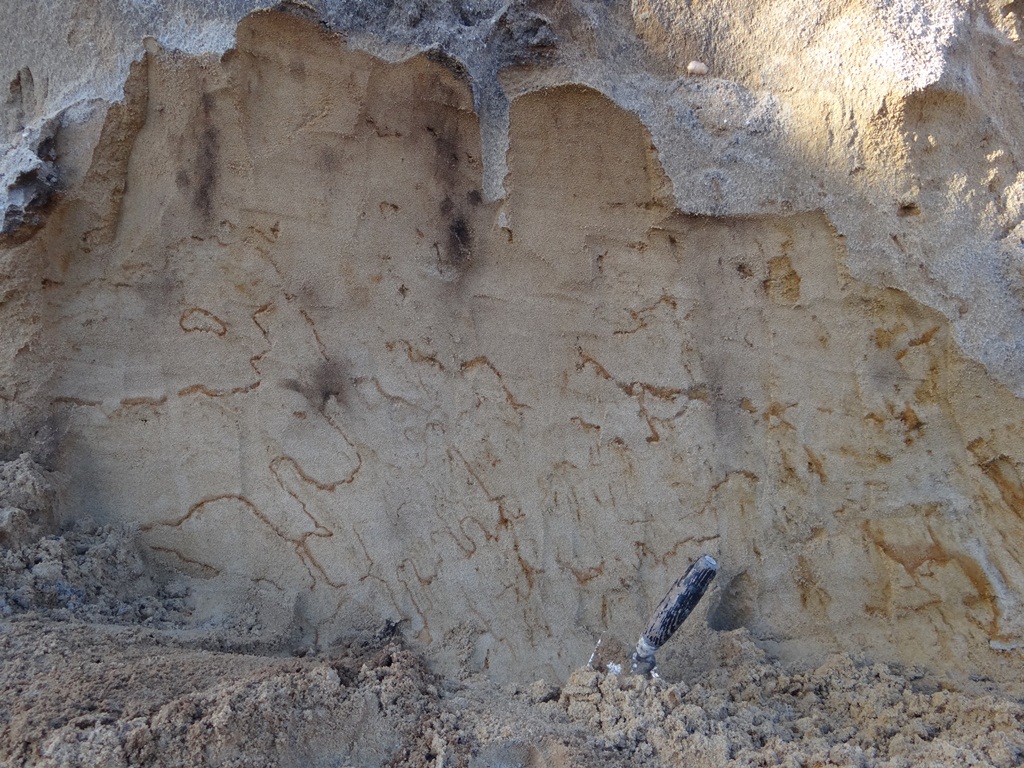 Foto 7: Keileem in de putvloer